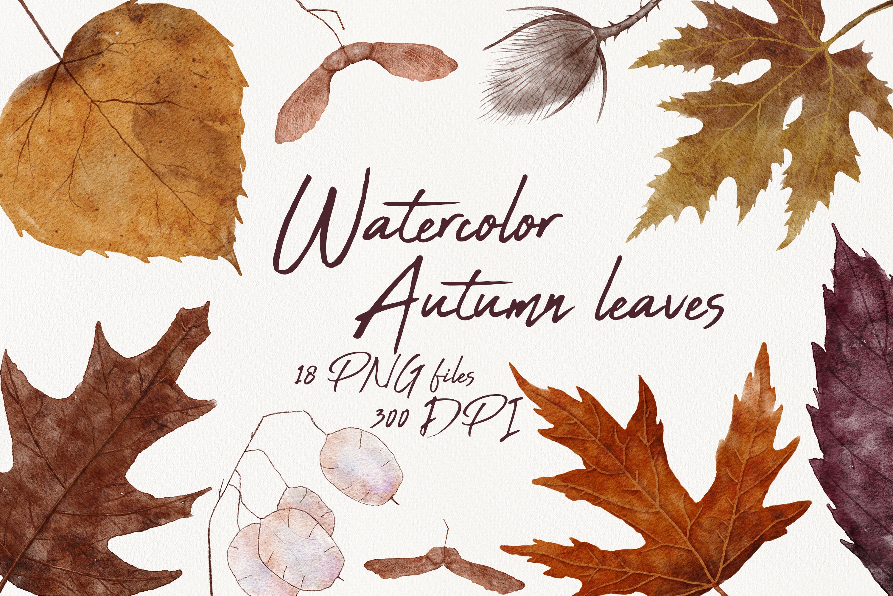 Watercolor Autumn Leaves Clipart Fall Clipart Autumn - Etsy