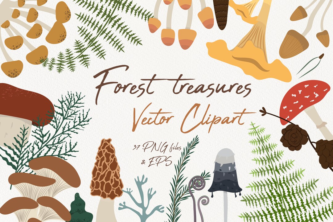 Forest Treasures Vector Clipart, Mushrooms Vector Clipart, Woodland ...