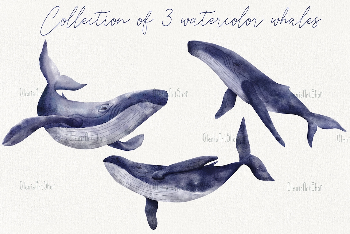 Watercolor Whales Clipart Instant Download Blue Whales - Etsy