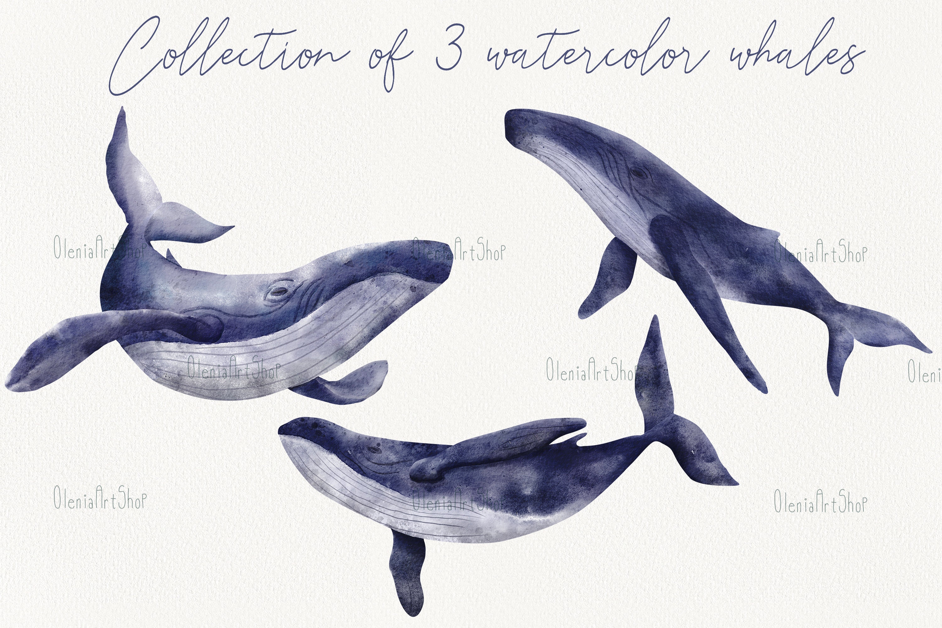 Watercolor Whales Clipart, Instant Download, Blue Whales, Whales Set, Underwater Animal, PNG ...