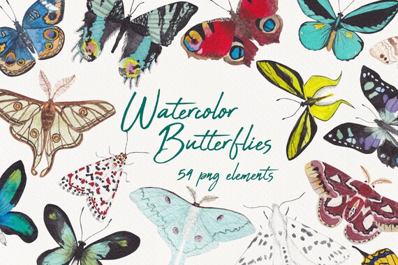 Watercolor Butterfly Clipart Hand Drawn Butterflies PNG | Etsy