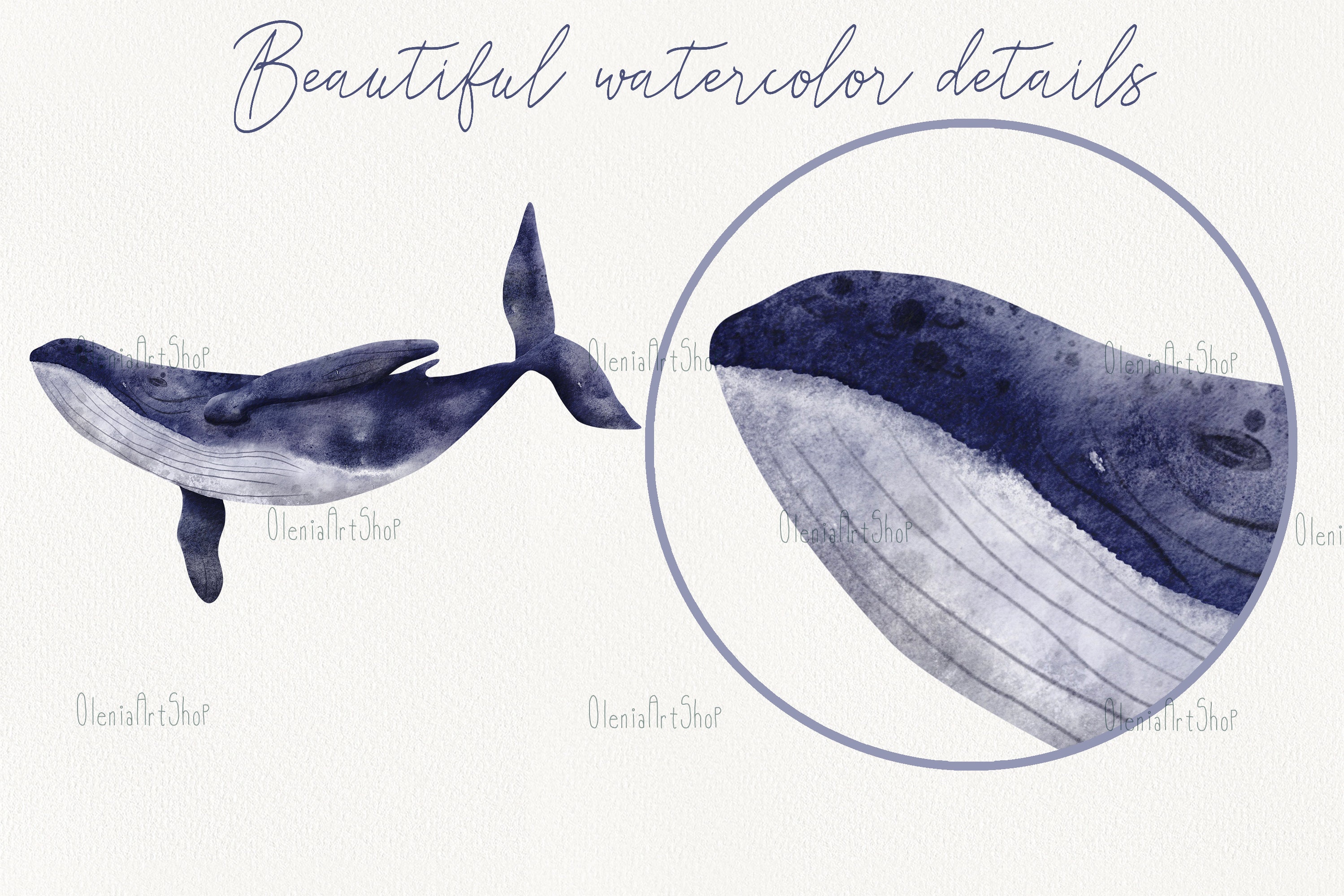Watercolor Whales Clipart, Instant Download, Blue Whales, Whales Set ...