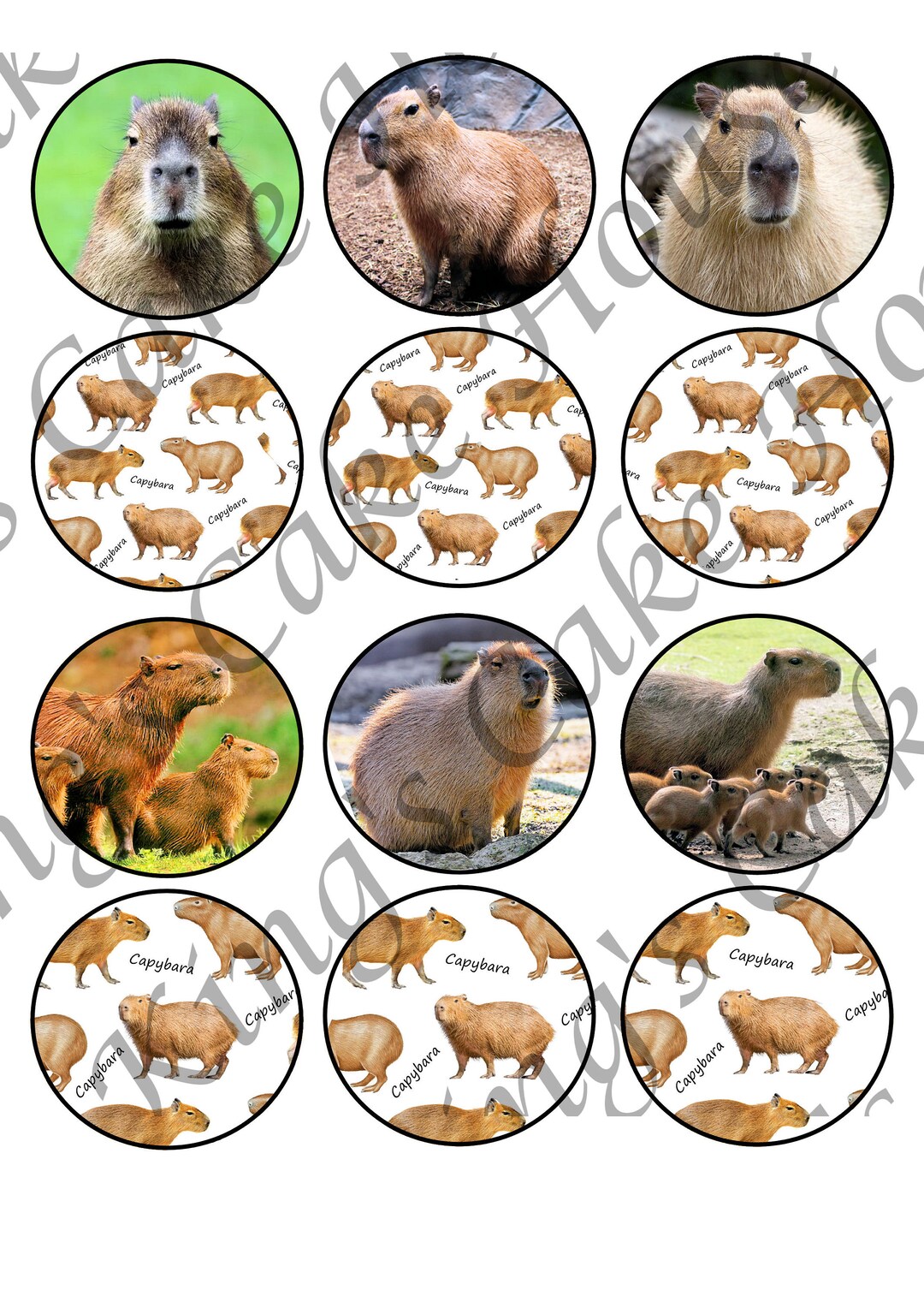 Capybara Edible Cupcake Toppers, Capybara Fan Birthday Cake Topper ...