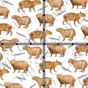 Capybara Cake Wrap, Edible Icing Sheets, Set of 2. Capybara Cake ...