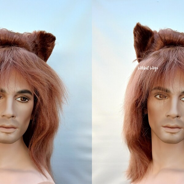 Cats Musical Wig - Etsy