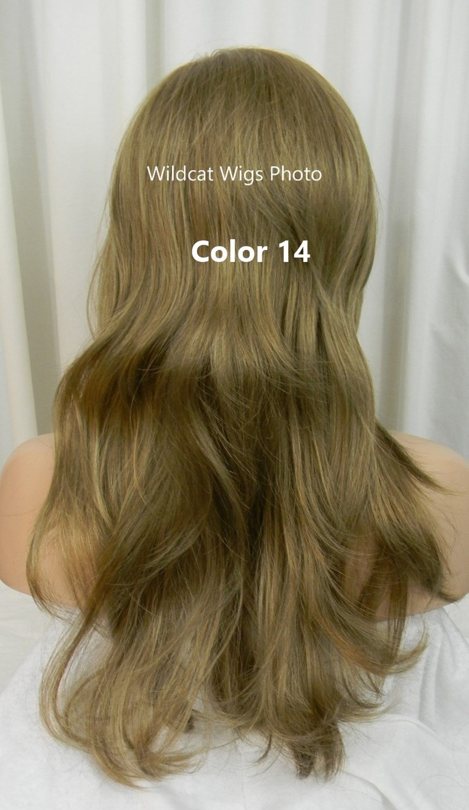 COLOR CHOICE Southern Belle Wig .. Quality Theater 19th Century ...
