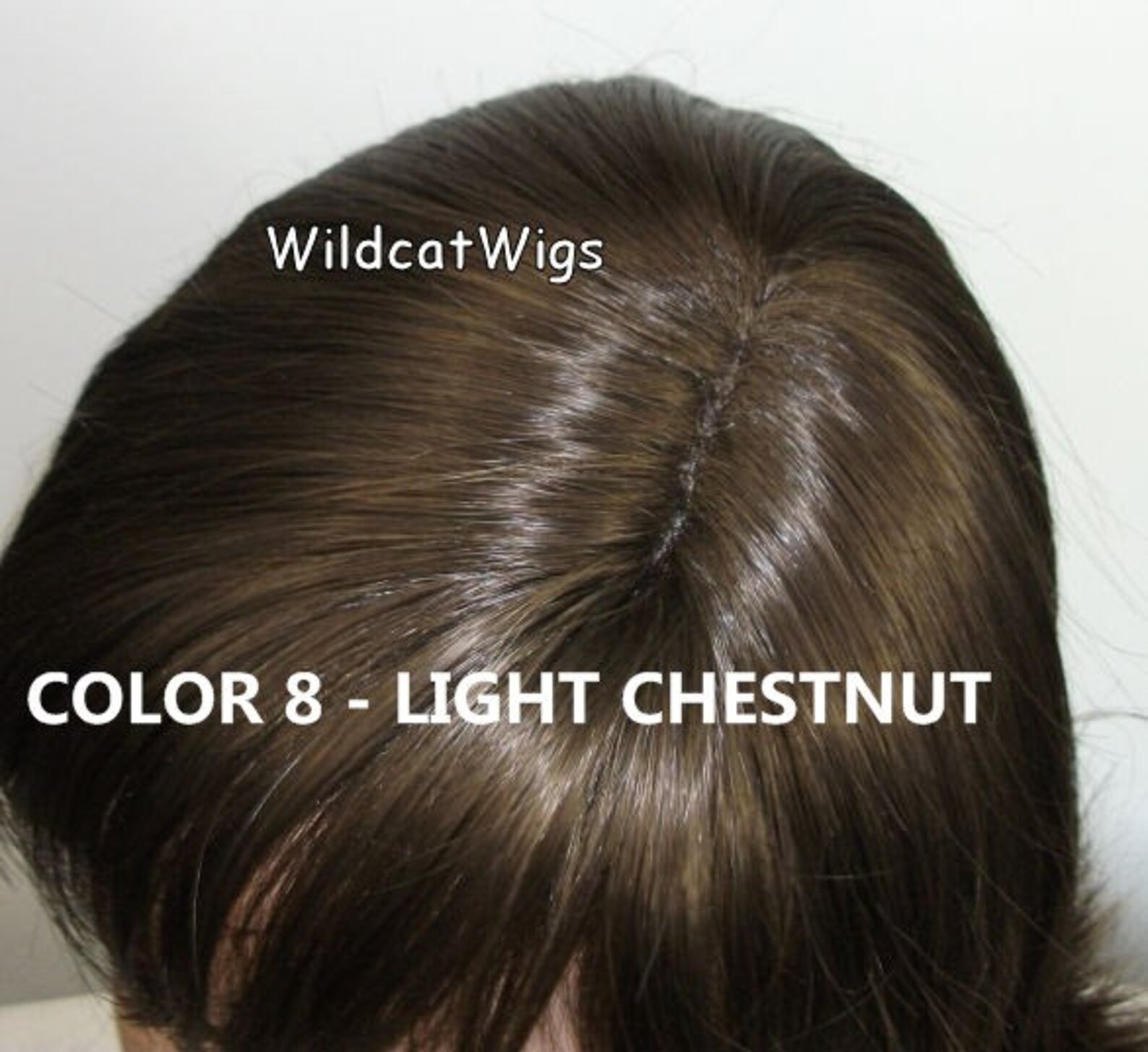19th Century Style Color Choice .. NEW Wig .. Victorian, Little Women ...