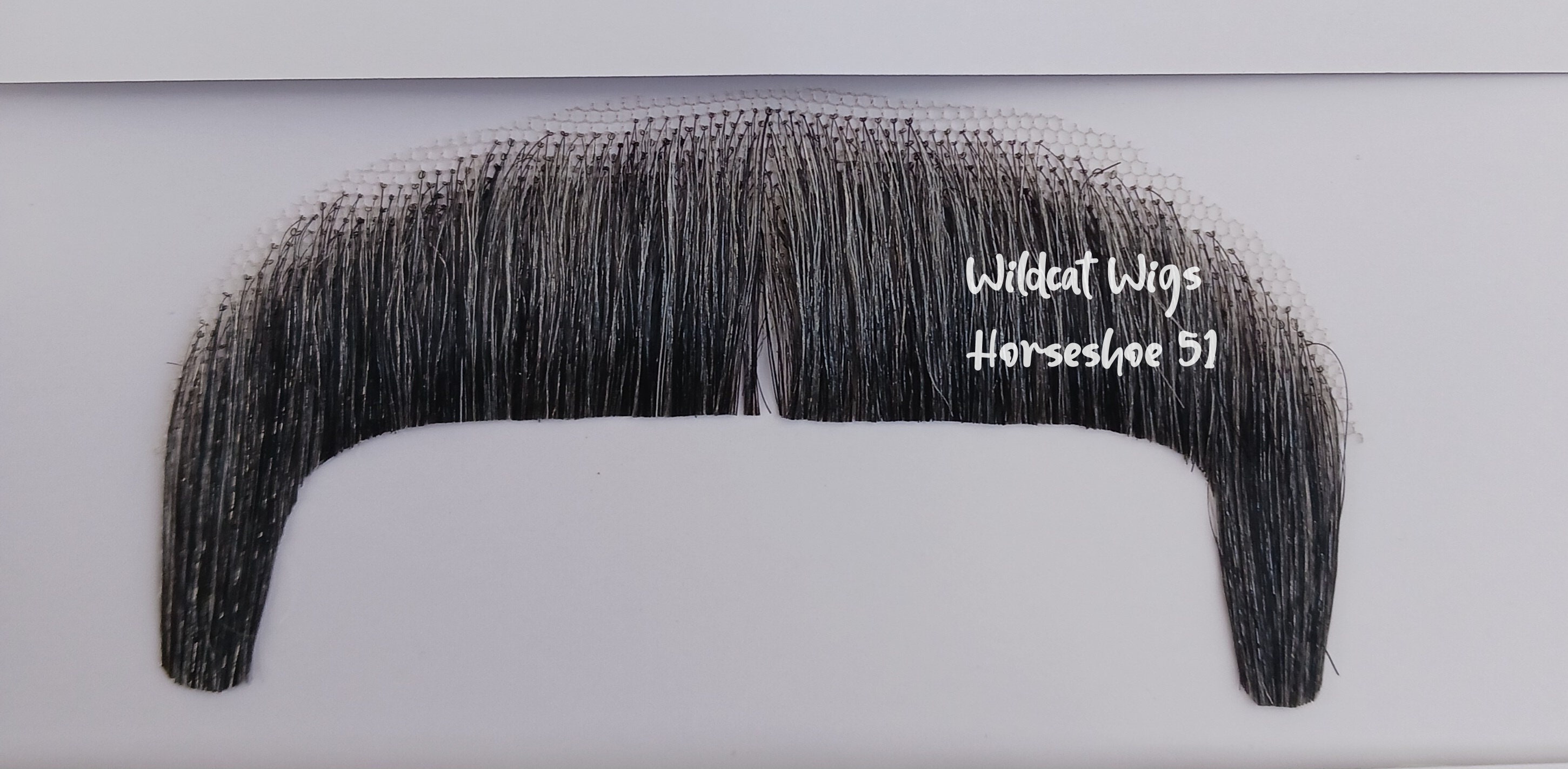 Horseshoe Mustache Drawing