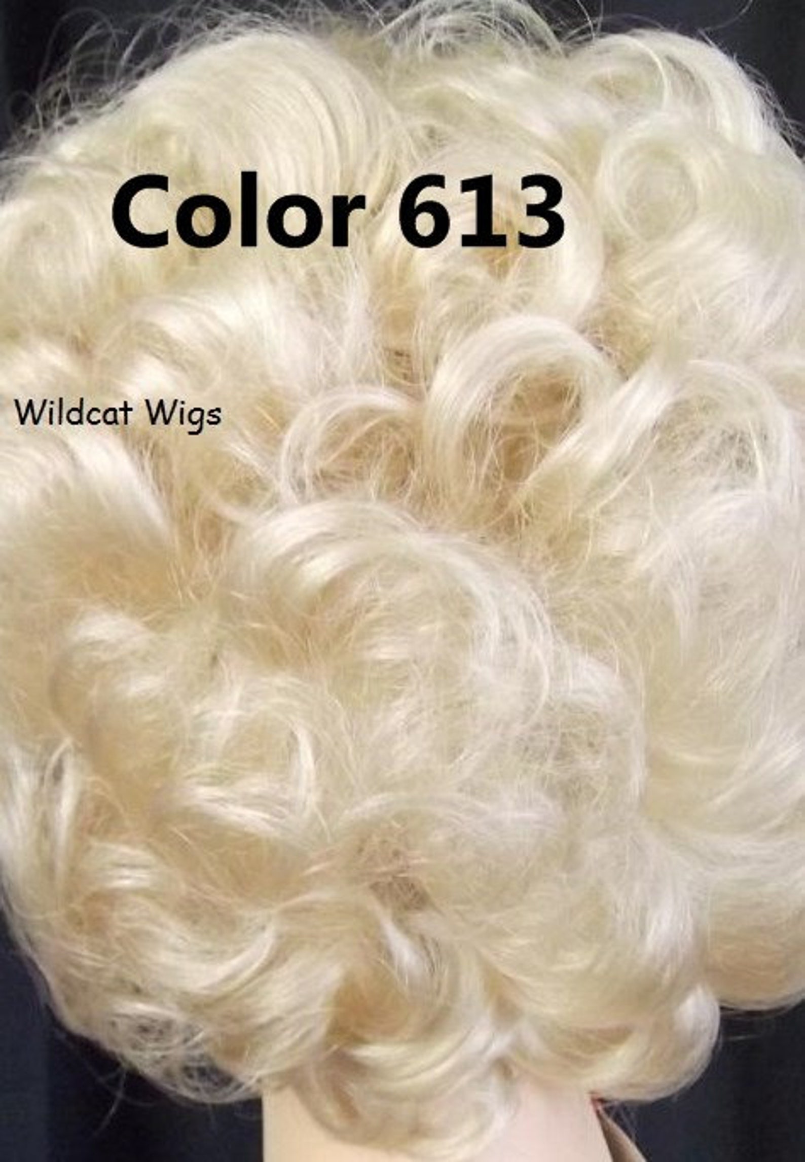 19th Century Style Color Choice .. NEW Wig .. Victorian, Little Women ...