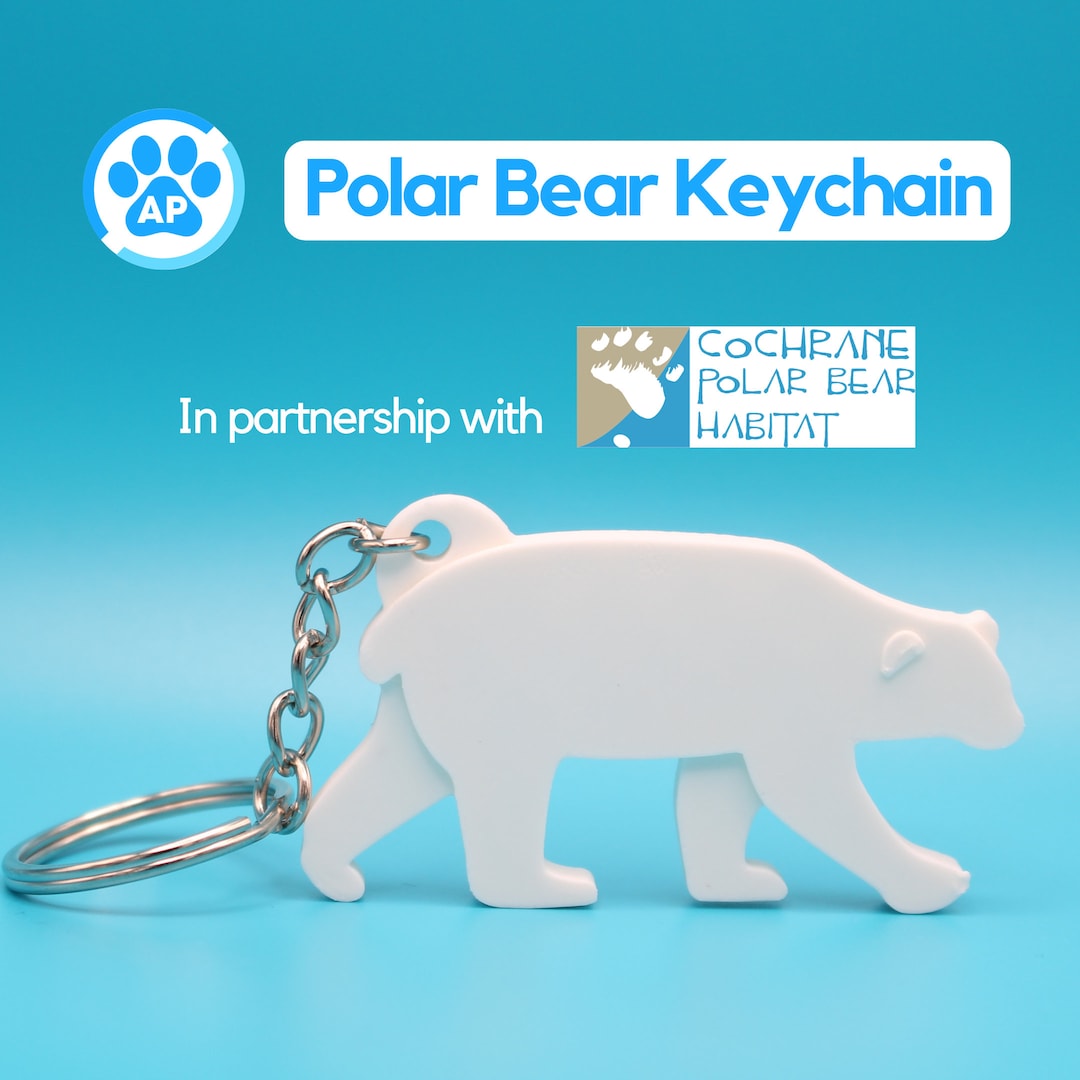 Polar Bear Keychains - Cute Polar Bear Keychains - Simple Animal ...