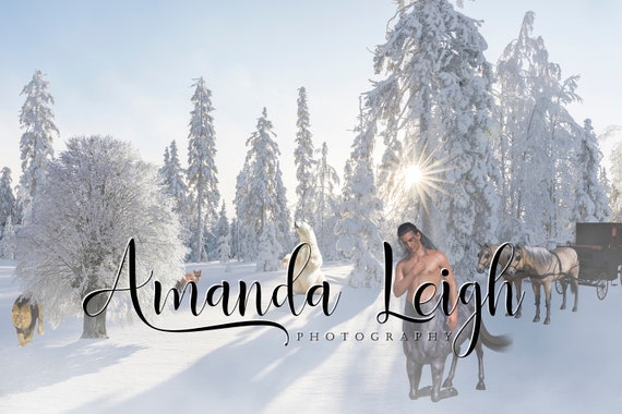 Narnia Inspired Digital Backdrop | Etsy