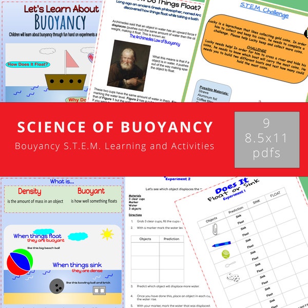 Science Anchor Charts - Etsy