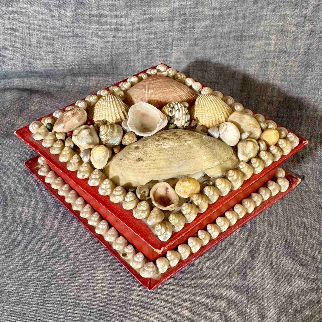 Vintage Shell Box - Etsy