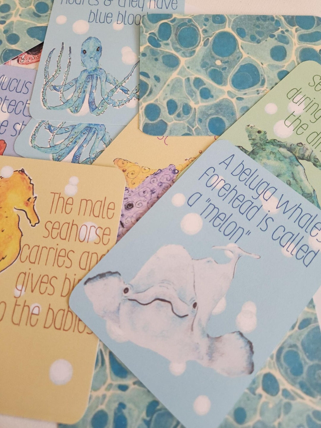 Ocean Life Matching Card Game: Educational Sea Creature Cards - Etsy