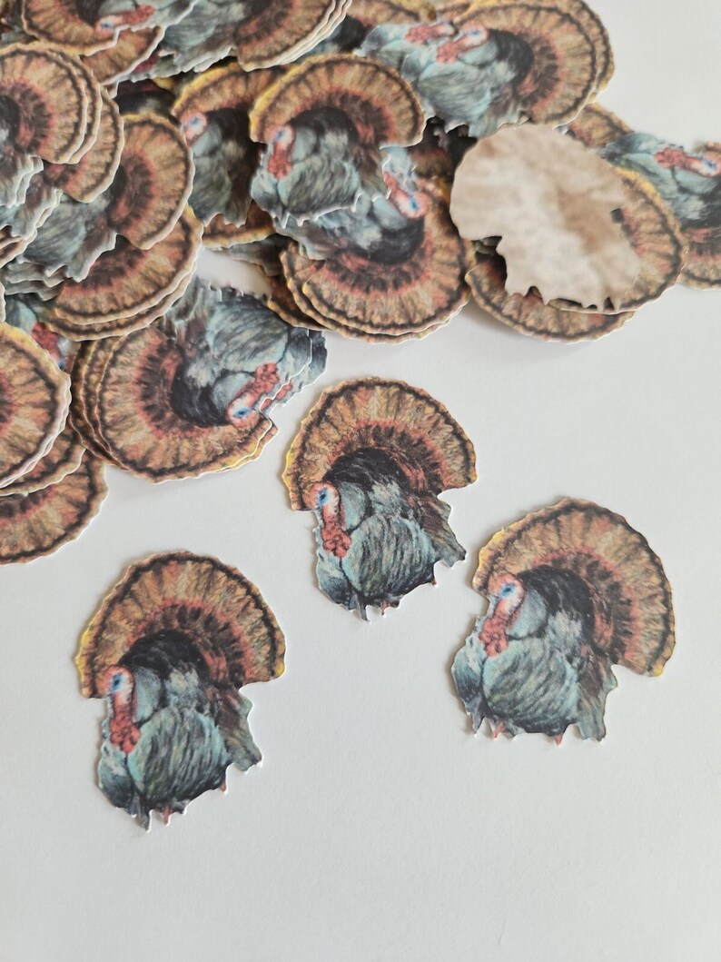 Wild Turkey Confetti, Thanksgiving Turkey Table Decor, Turkey Craft ...