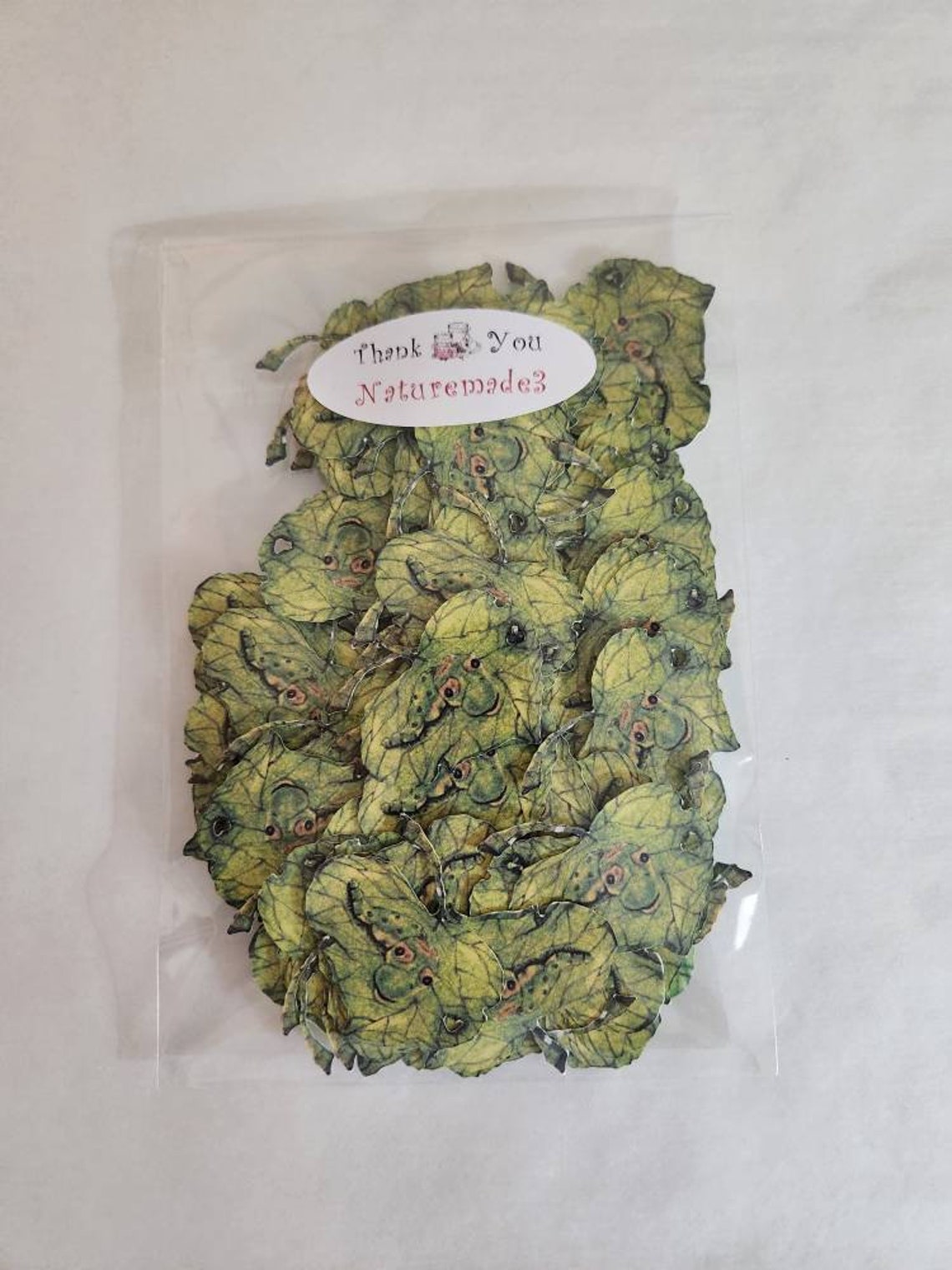 Leaf Caterpillar Confetti, Caterpillar Craft, Bug Craft, Cute Bug With ...