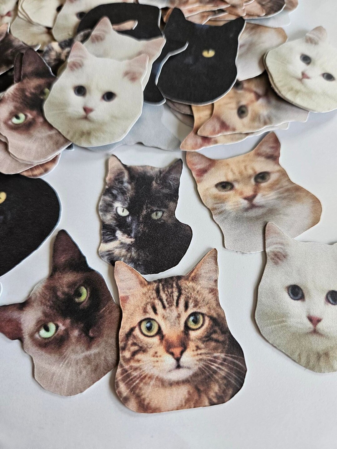 Cute Cat Confetti, Cat Craft, Cat Photo Table Decor, Kids Cat Craft ...