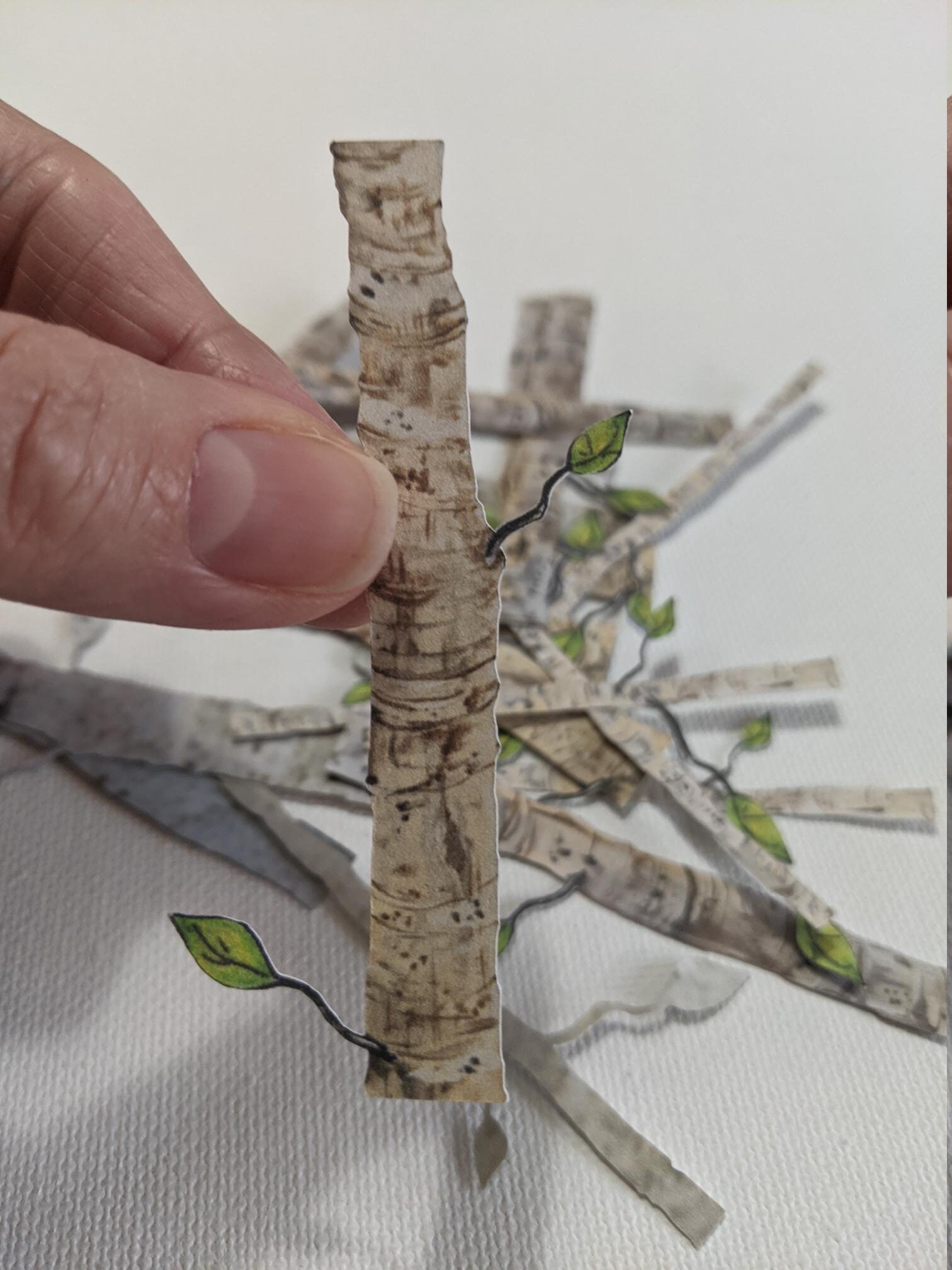 Birch Tree Branches Confetti, Tree Craft, Birch Tree Table Decoration ...