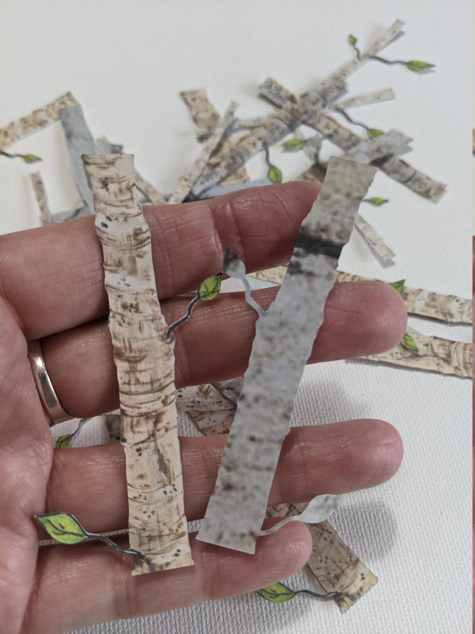 Birch Tree Branches Confetti, Tree Craft, Birch Tree Table Decoration ...