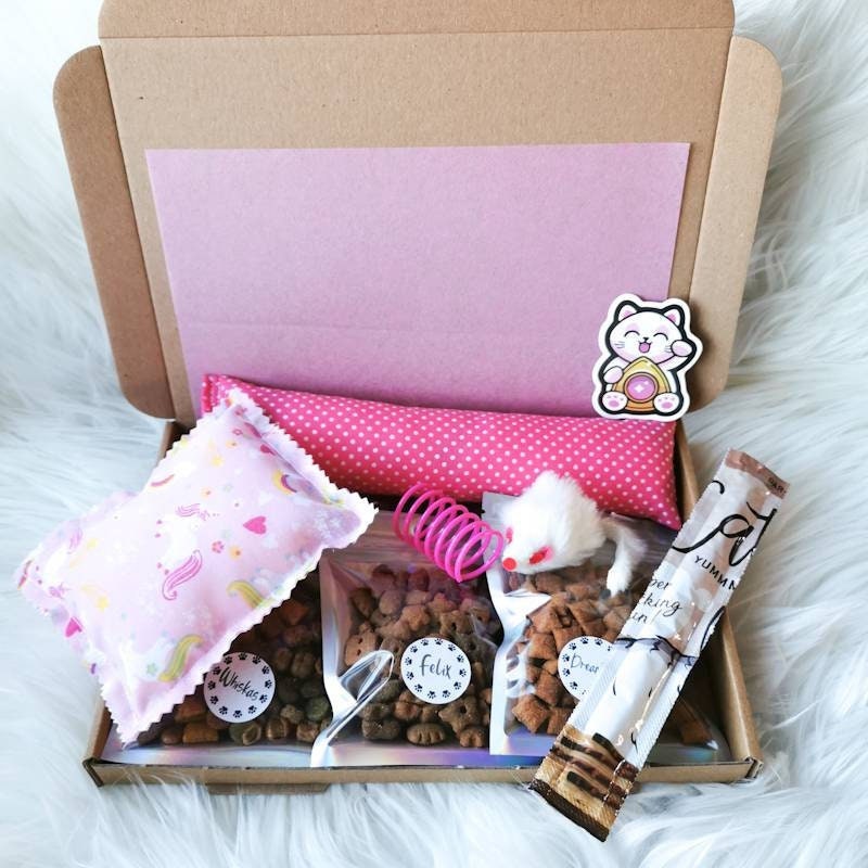 Cat Toy and Treat Gift Box Cat and Kitten Gift Box Cat - Etsy UK