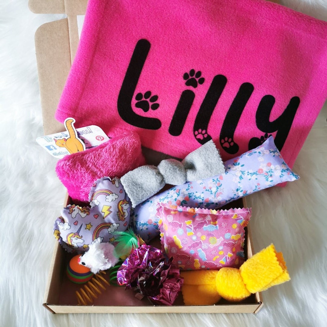 Cat Toy Gift Box With Personalised Blanket, Handmade Catnip Kicker ...