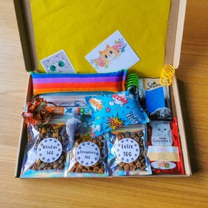 Cat Toy and Treat Gift Box, Cat and Kitten Hamper, Cat Pamper Box ...
