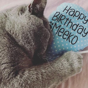 Personalised Catnip Fabric Birthday Balloon, Gotcha Day Gift, Cat ...
