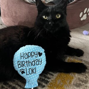 Personalised Catnip Fabric Birthday Balloon, Gotcha Day Gift, Cat ...