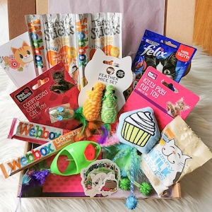 Cat Toy and Treat Gift Box, Cat and Kitten Hamper, Cat Goodie Box ...