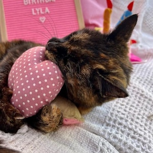 Personalised Catnip Fabric Birthday Balloon, Gotcha Day Gift, Cat ...