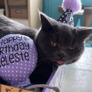 Personalised Catnip Fabric Birthday Balloon, Gotcha Day Gift, Cat ...