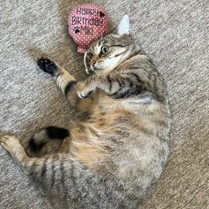 Personalised Catnip Fabric Birthday Balloon, Gotcha Day Gift, Cat ...