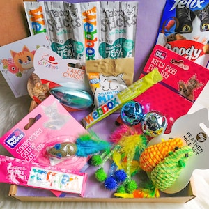 Cat Toy and Treat Gift Box, Cat and Kitten Hamper, Cat Goodie Box ...