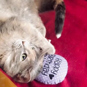 Personalised Catnip Fabric Birthday Balloon, Gotcha Day Gift, Cat ...