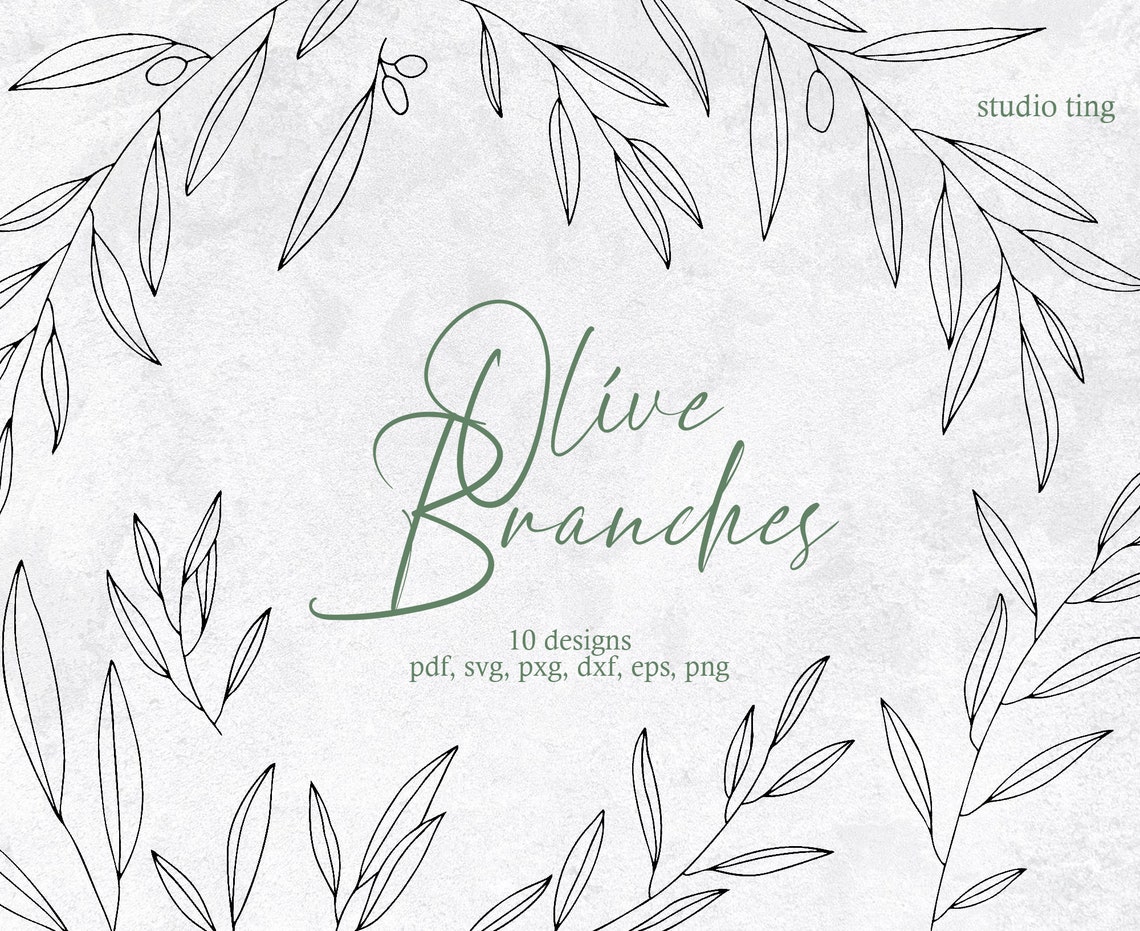 Hand Drawn Olive Branches Clipart Plant Vector Art Botanical - Etsy