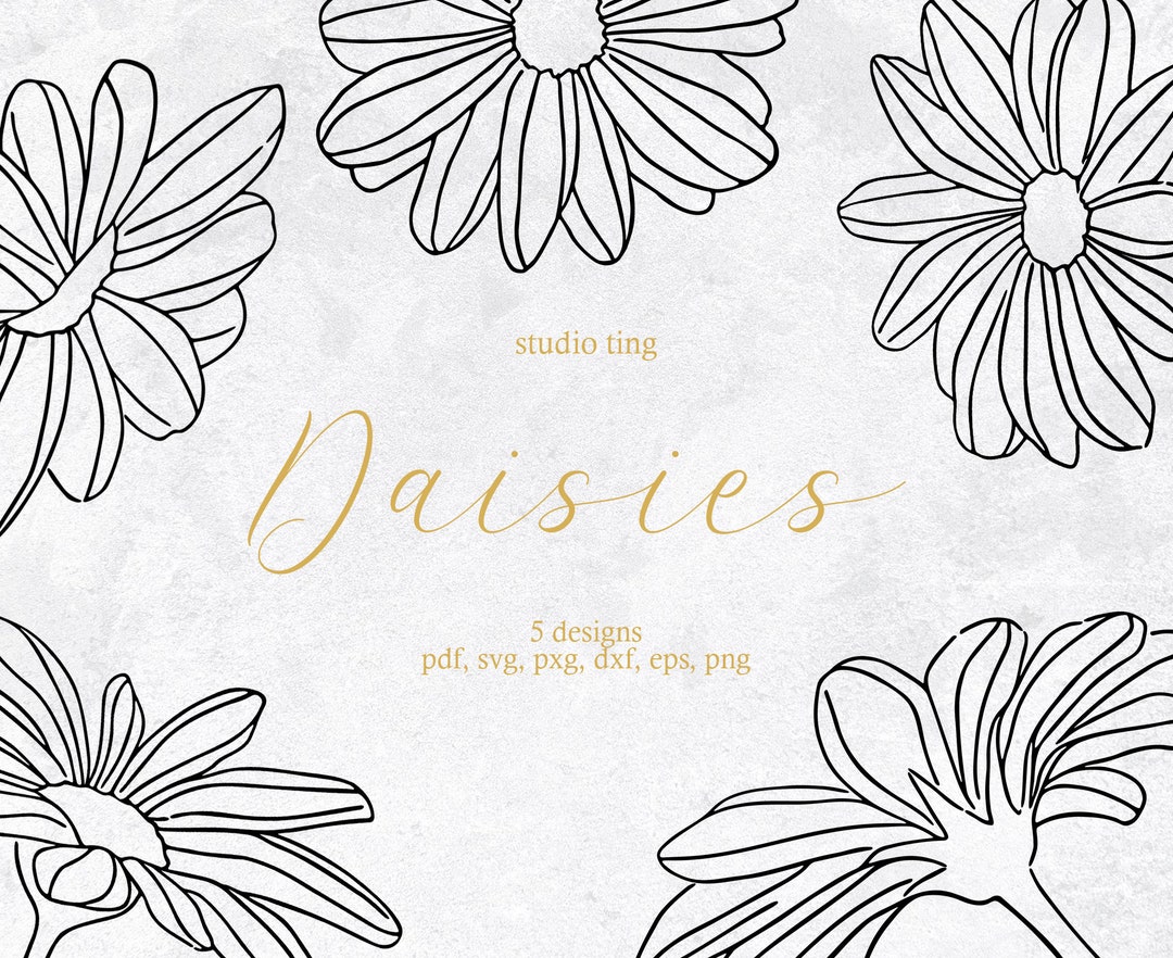 Hand Drawn Daisy Clipart, Floral Vector Art, Botanical Svg, Minimalist ...