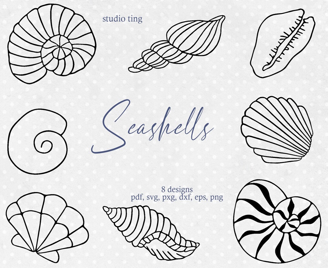 Hand Drawn Seashells Svg, Summer Clipart, Nature Svg, Sea, Eps, Dxf ...