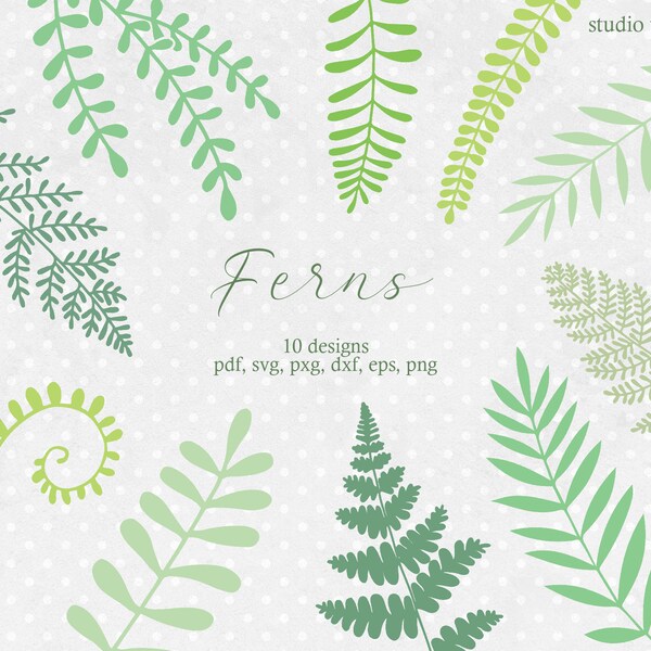 Fern Svg - Etsy