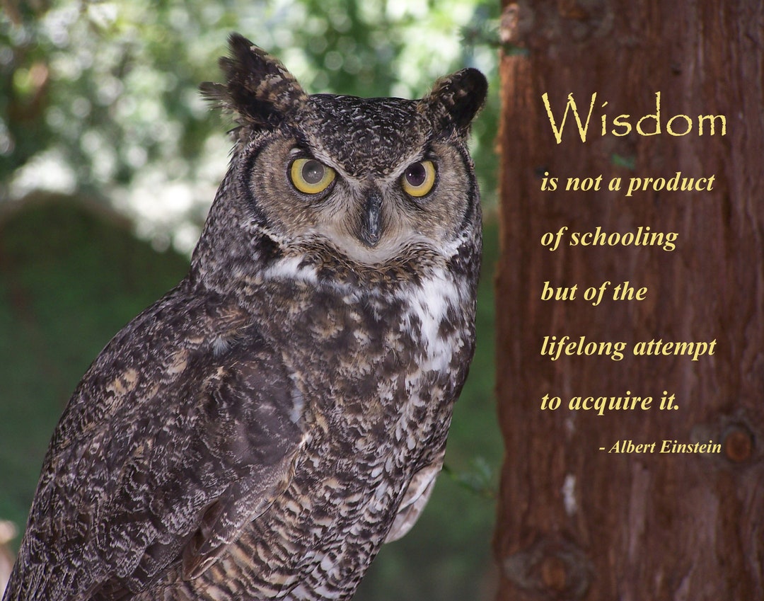 Wisdom Inspirational Motivational Albert Einstein Quote, Canvas ...