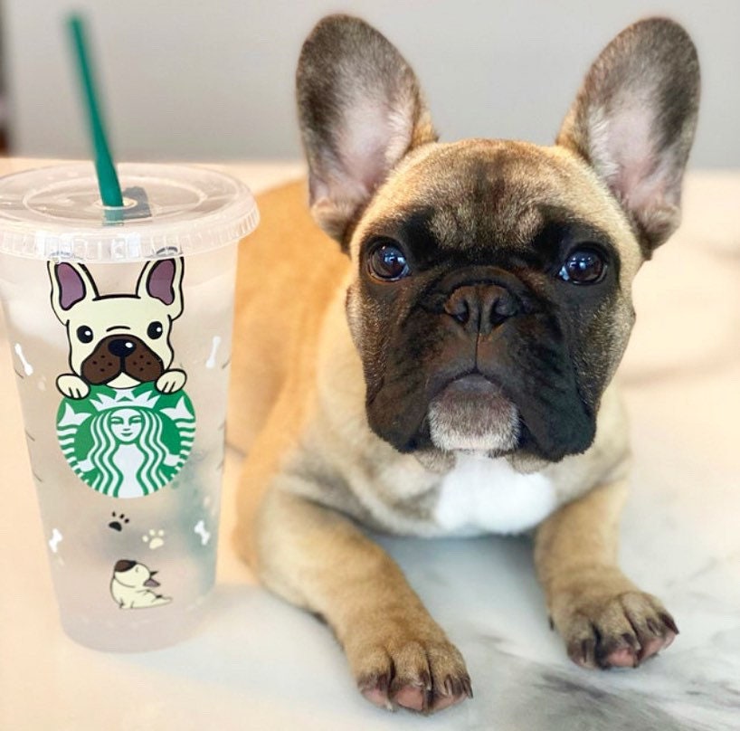 Custom Frenchie Starbucks Cup, French Bulldog Breed Starbucks Reusable ...