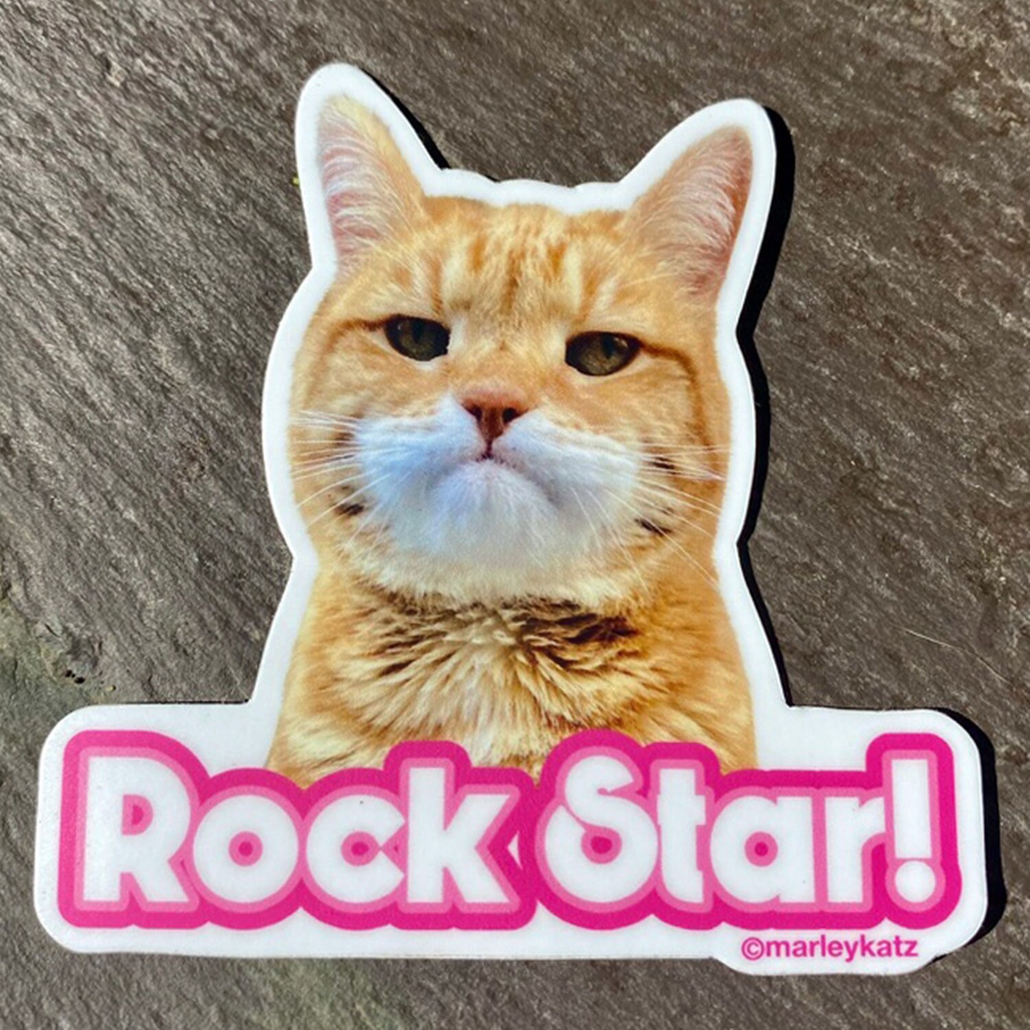 Marley Katz Grumpy Cat Rockstar Sticker - Etsy UK