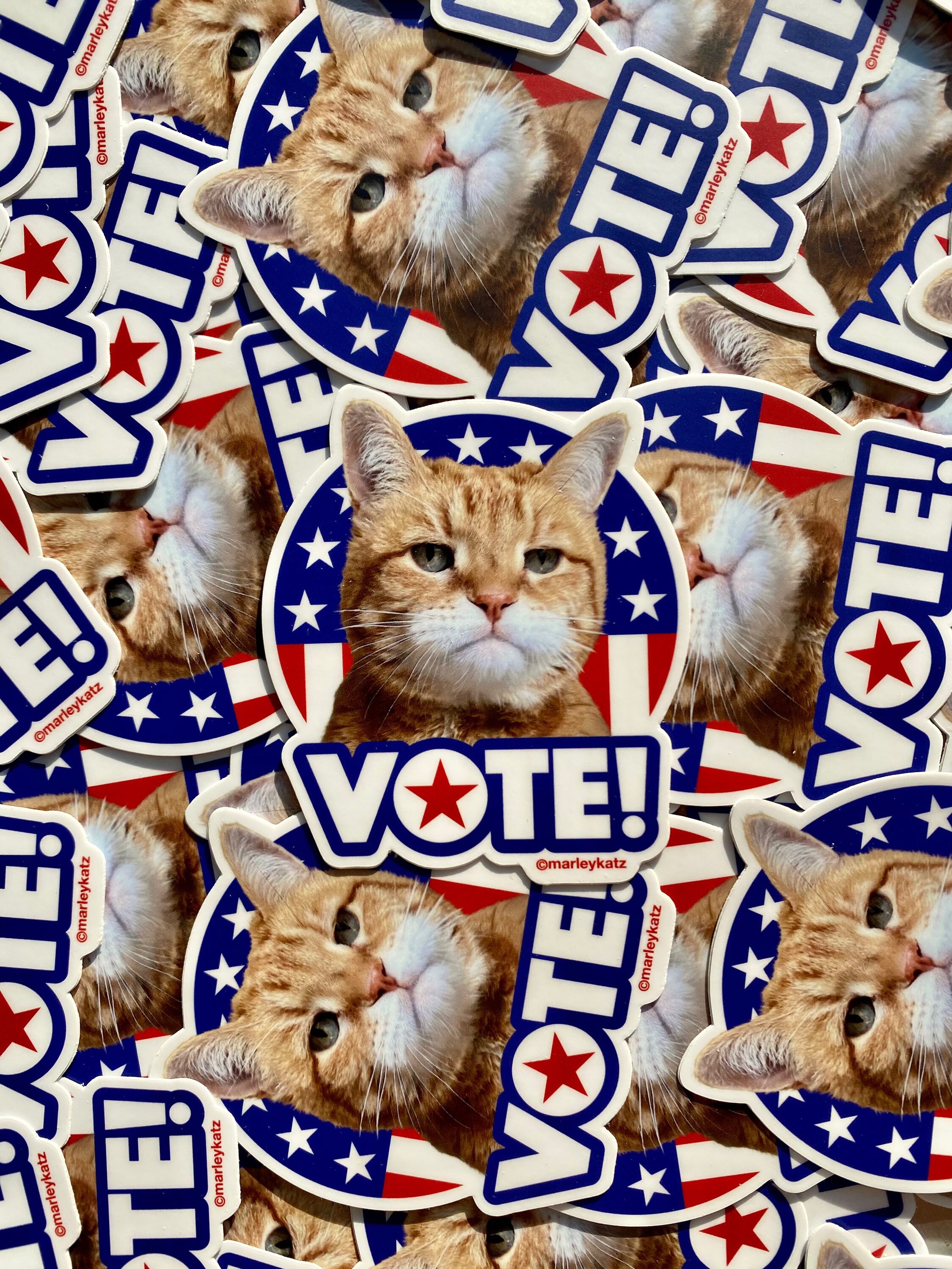 Marley Katz Grumpy Cat Vote Sticker - Etsy UK