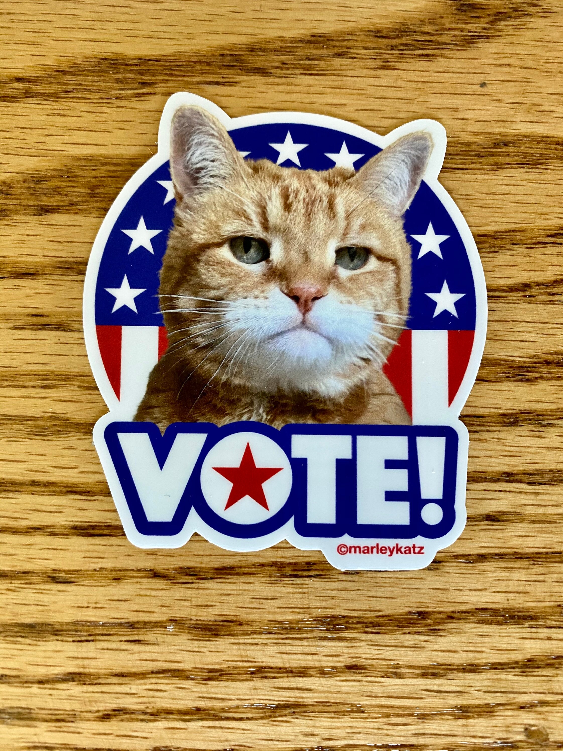 Marley Katz Grumpy Cat Vote Sticker - Etsy UK