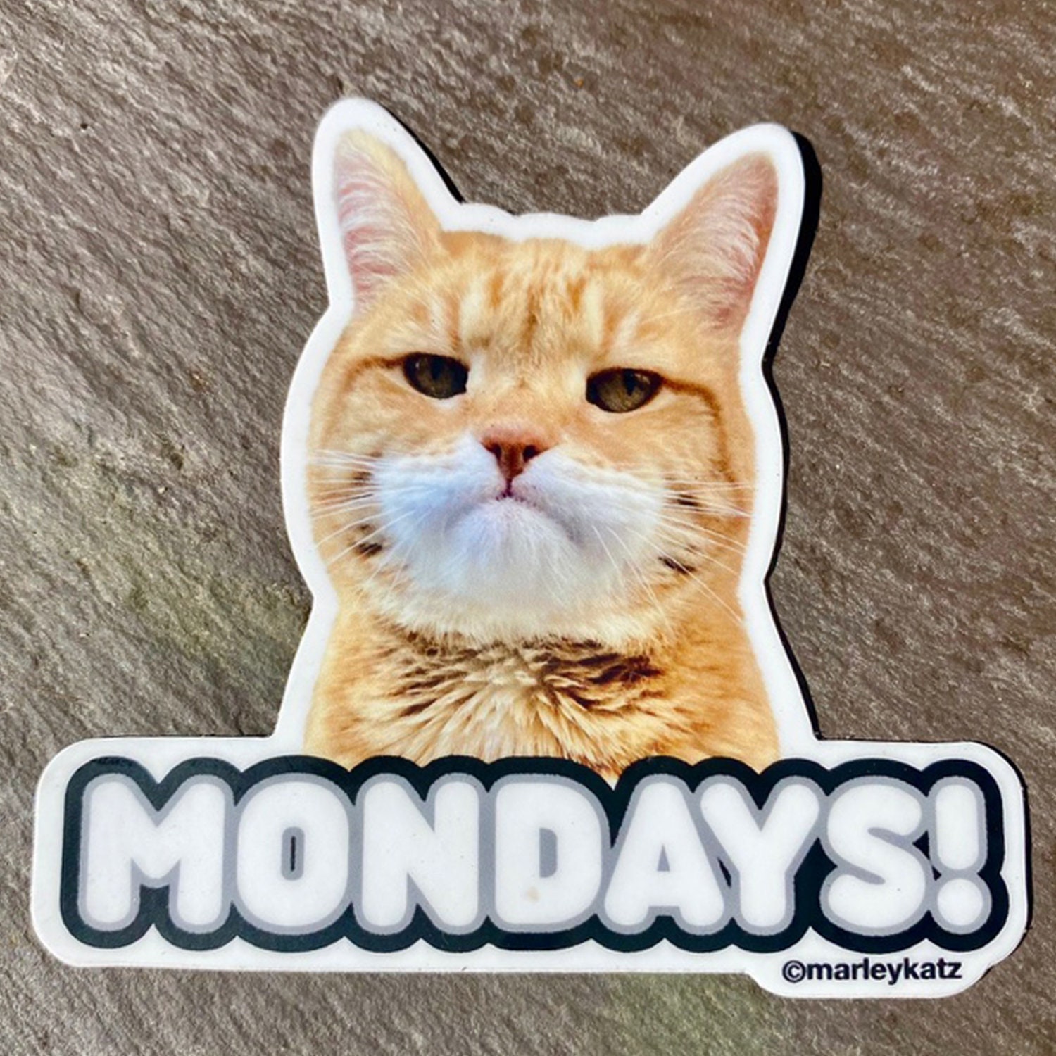 Marley Katz Grumpy Cat Monday's Mood Sticker - Etsy