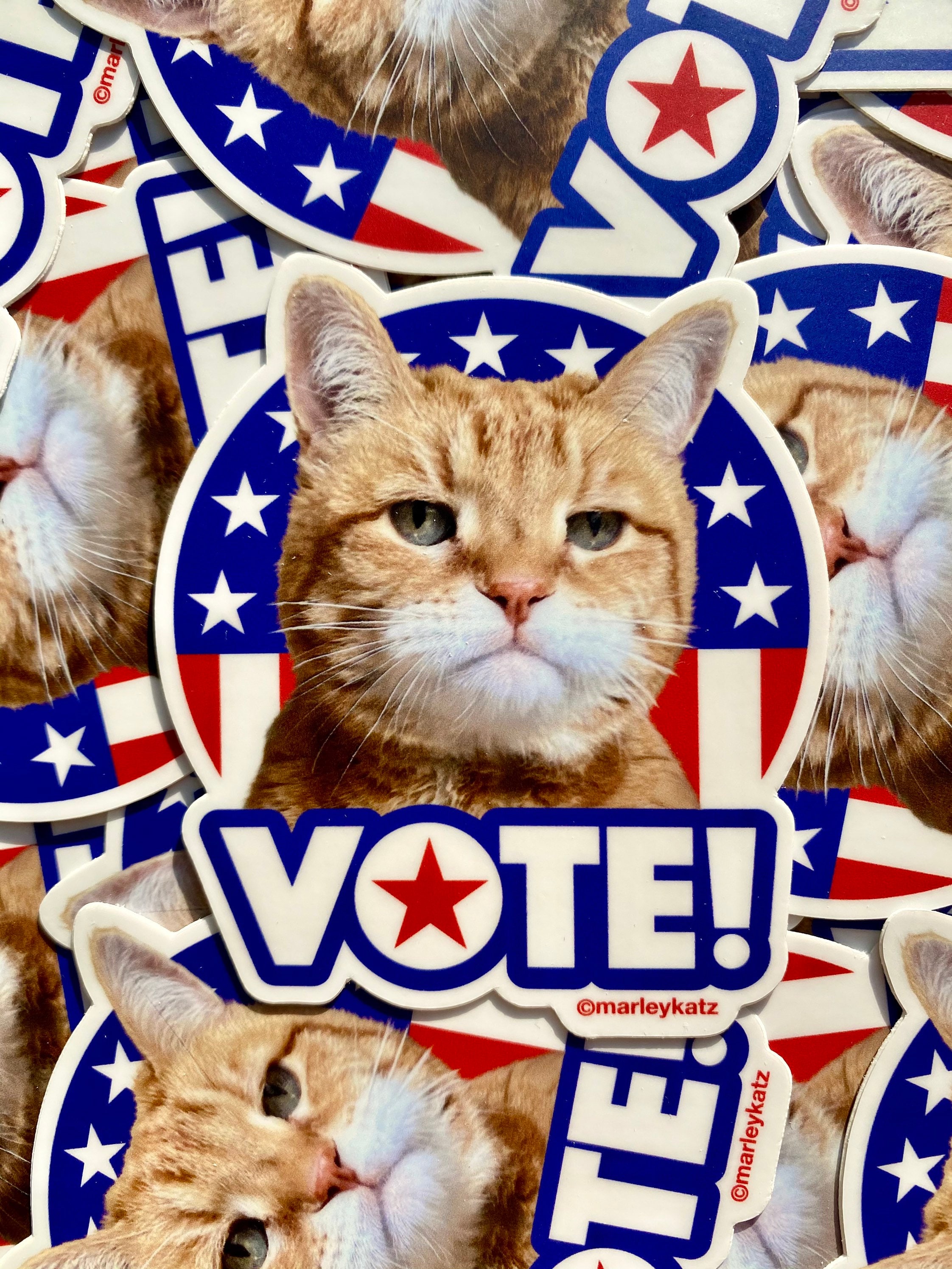 Marley Katz Grumpy Cat Vote Sticker | Etsy