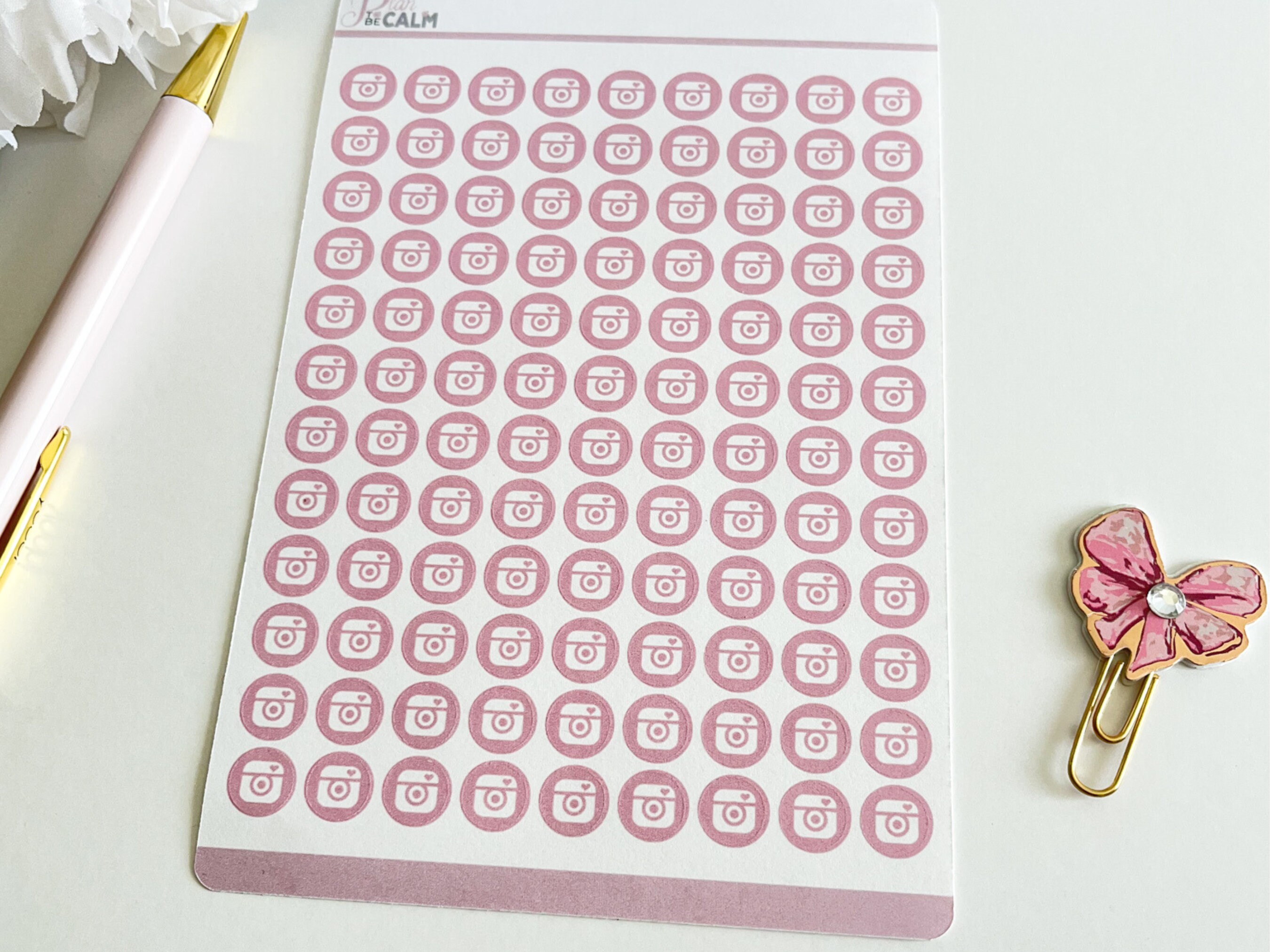 Tiny Instagram Icon