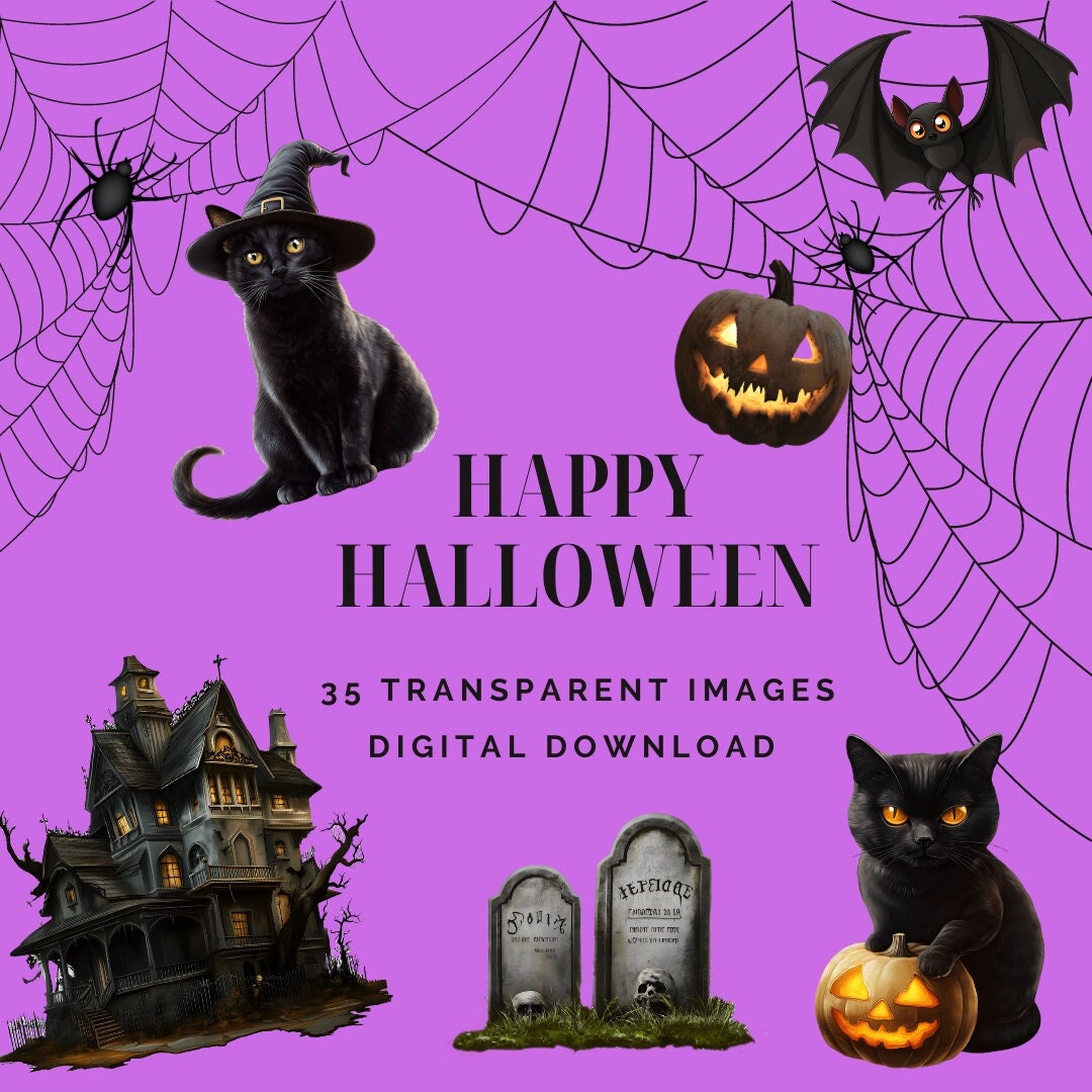 Whimsical Cat and Pumpkin Clipart L Cute Witch Clipart L Black Cat ...