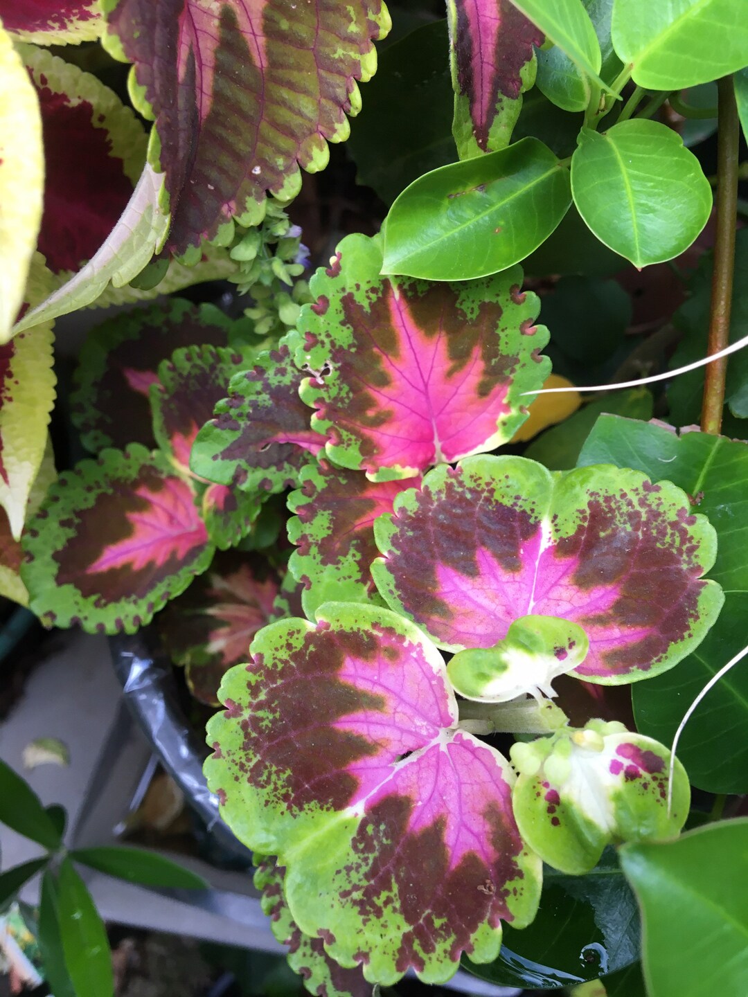 This item is unavailable - Etsy