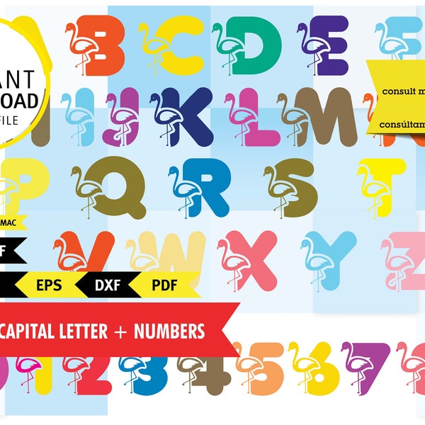 Flamingo Alphabet - Etsy