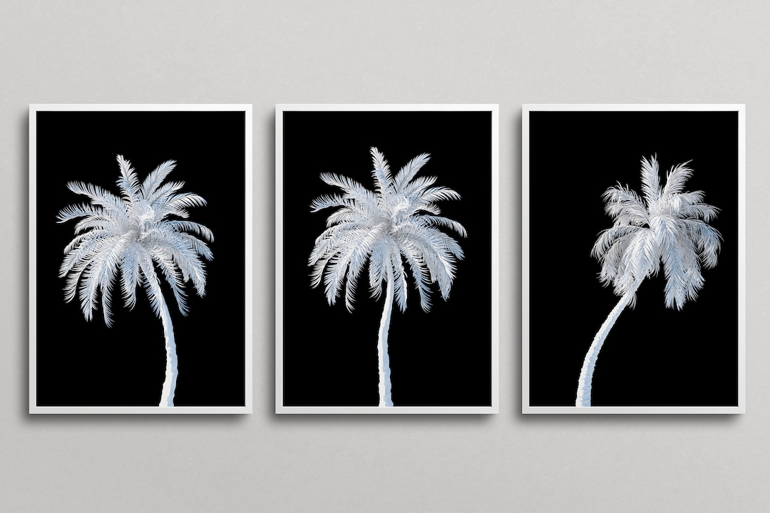 Palm Poster, Tree Poster,palm Wall Art, Tropical Leaves, Boho Palm ...